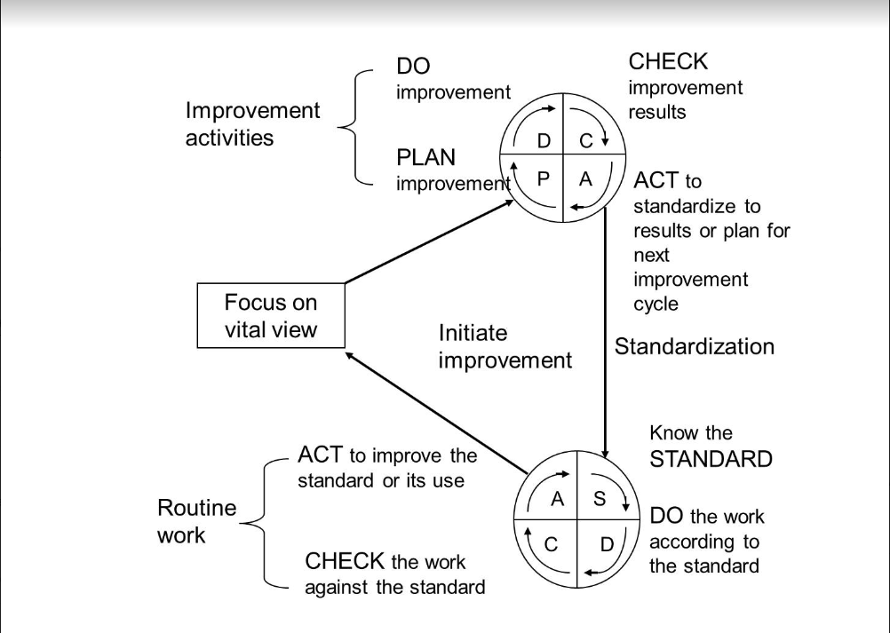 Daily Work Management- Nichijo GEMBA Kanri | Seven Steps Academy